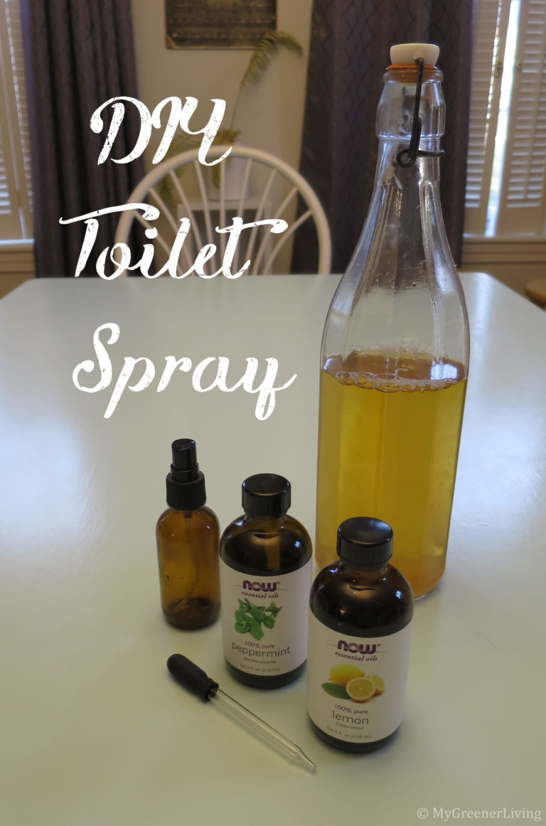 DIY toilet spray